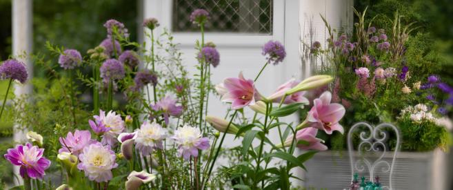 Care and maintenance - Flowerbulbs.com