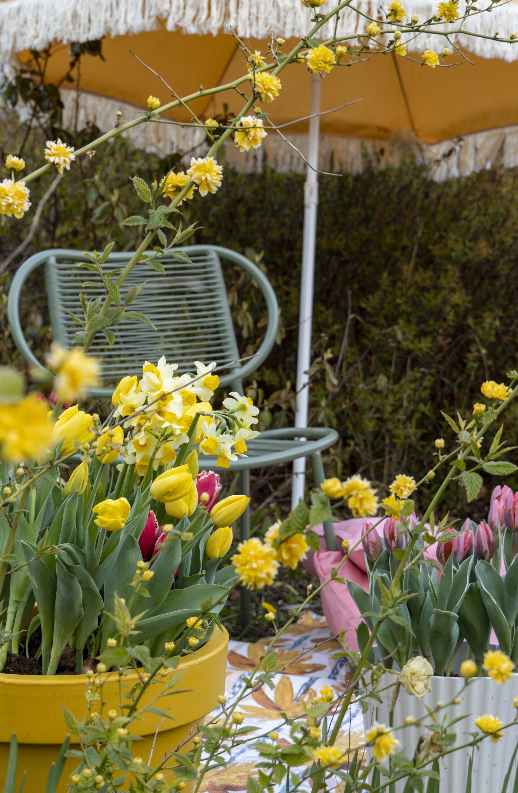 Garden happiness with flowering bulbs - Flowerbulbs.com