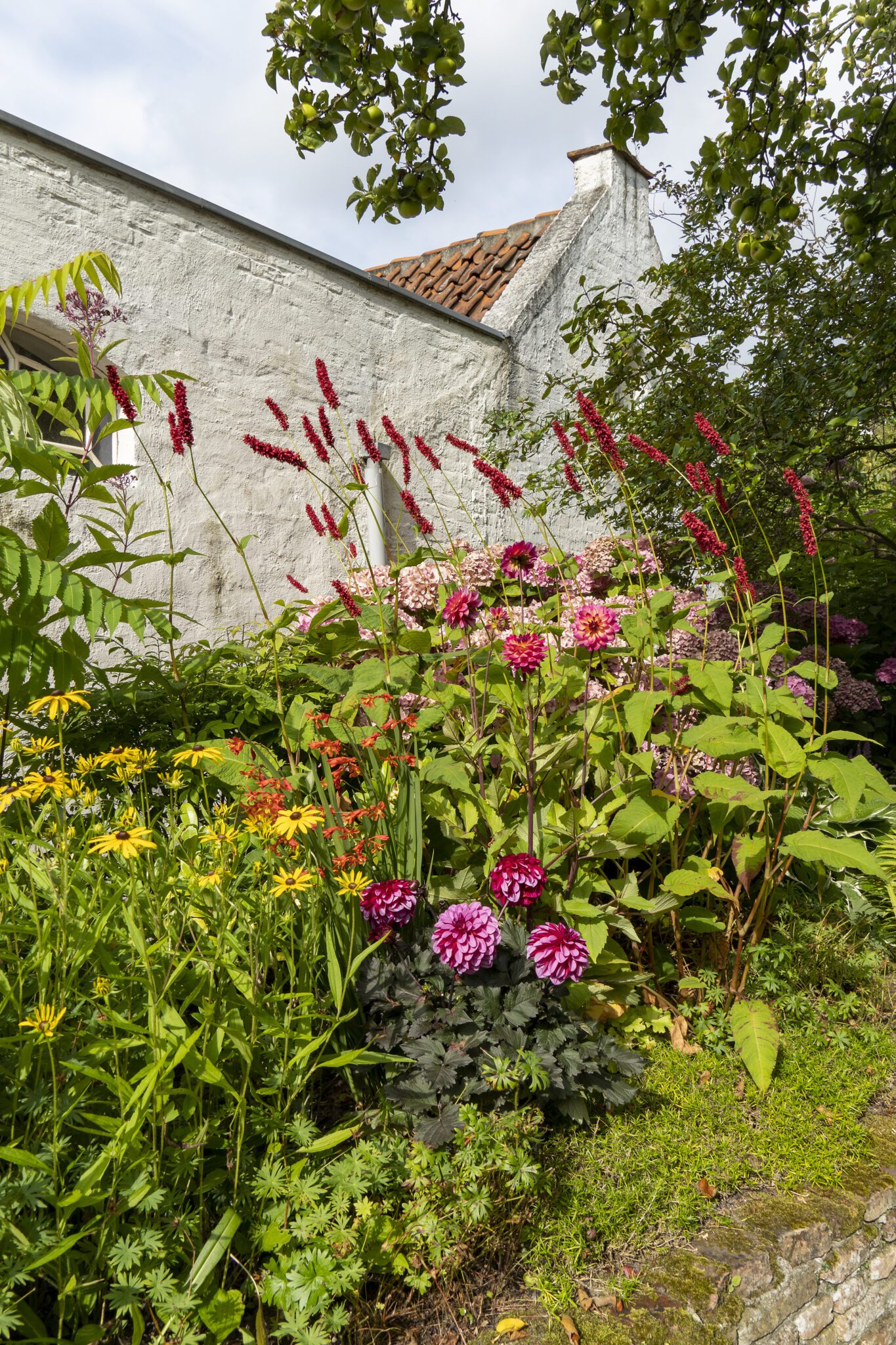 Flower bulb street party