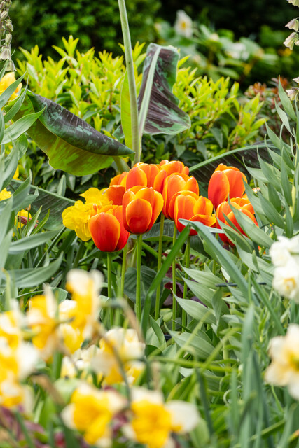 Garden trend 2025 - Unique Utopia